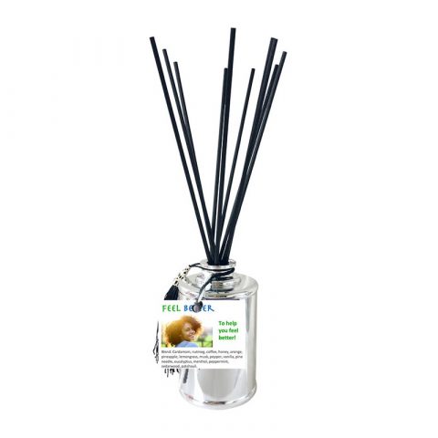 Metallic Diffuser Twin – choose your jar colours & scents | Solaz Scents